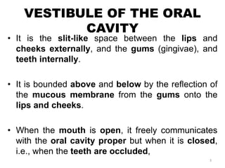 ANATOMY OF THE ORAL CAVITY.pptx