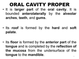 ANATOMY OF THE ORAL CAVITY.pptx