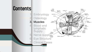Anatomy of the orbit | PPTX