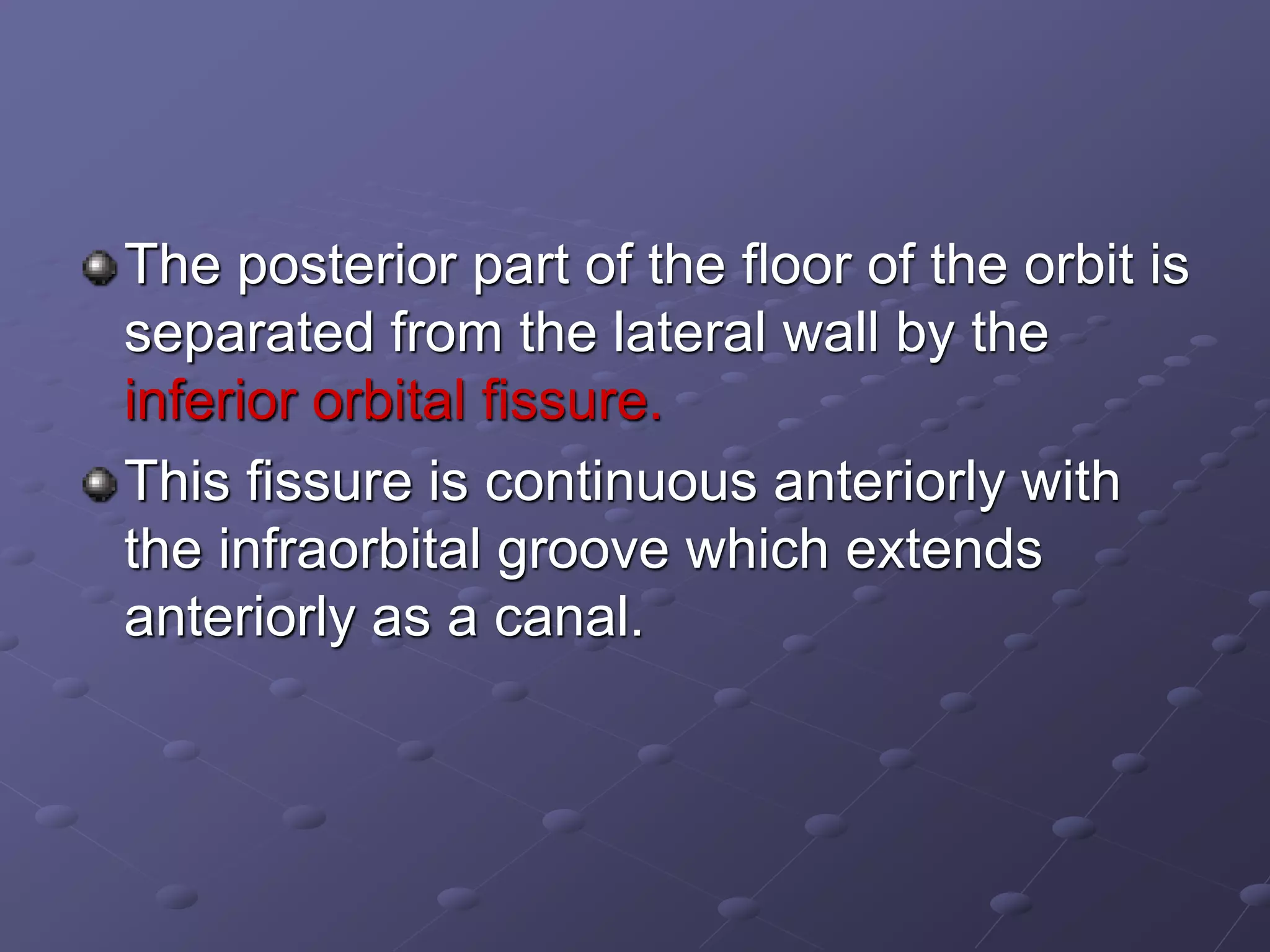 Anatomy and congenital anomalies of orbit | PPT