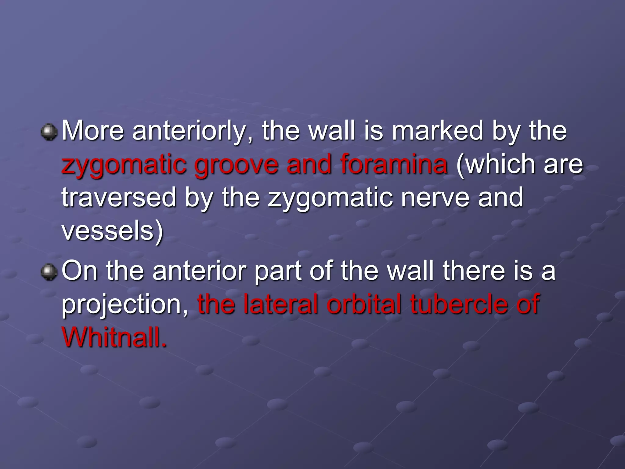 Anatomy and congenital anomalies of orbit | PPT