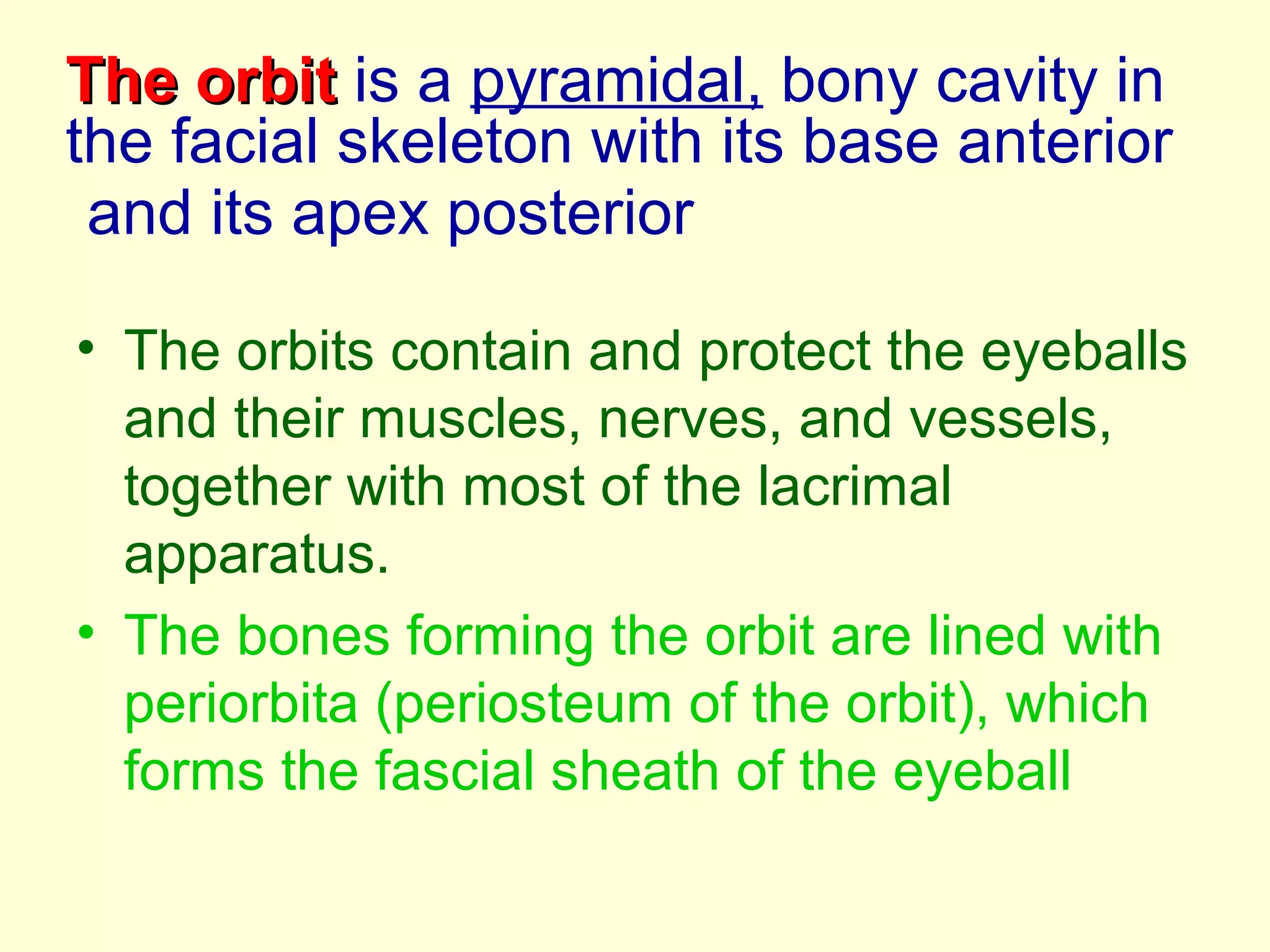 Anatomy of the orbit | PPT | Eye and Vision Conditions | Diseases and ...