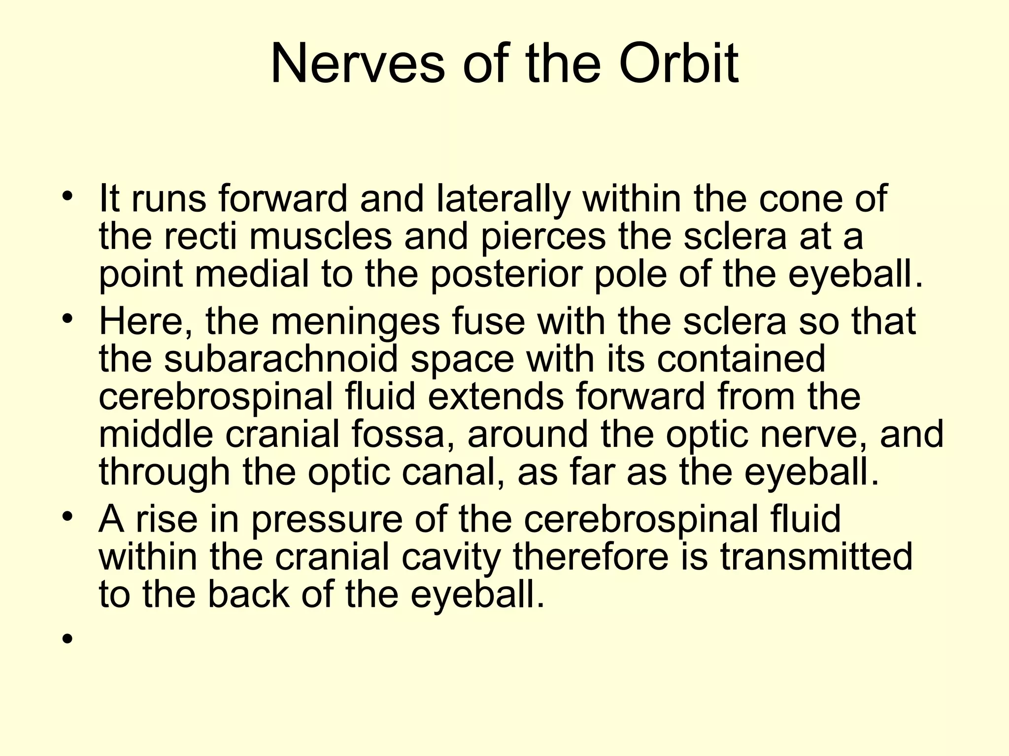 Anatomy of the orbit | PPT | Eye and Vision Conditions | Diseases and ...