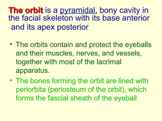 Anatomy of the orbit | PPT | Eye and Vision Conditions | Diseases and ...