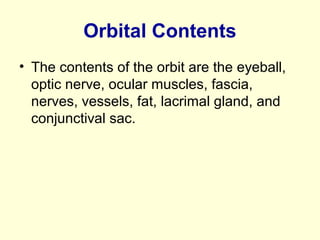 Anatomy of the orbit | PPT