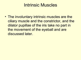 Anatomy of the orbit | PPT