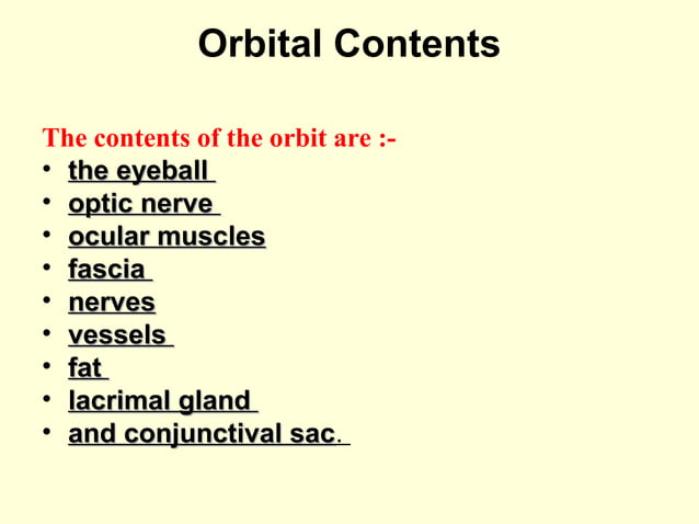 Anatomy of the orbit | PPT | Eye and Vision Conditions | Diseases and ...