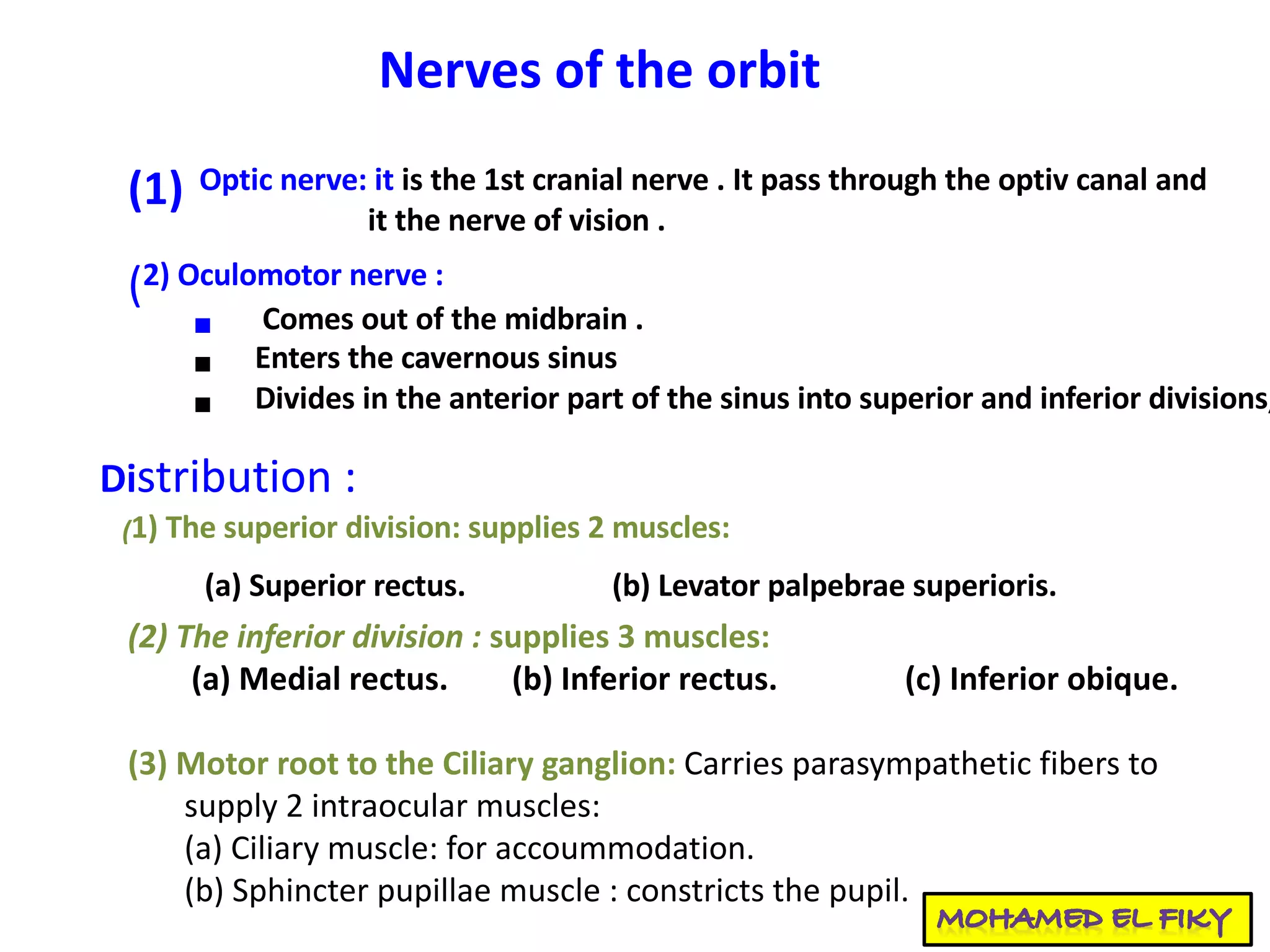 Anatomy of the orbit | PDF