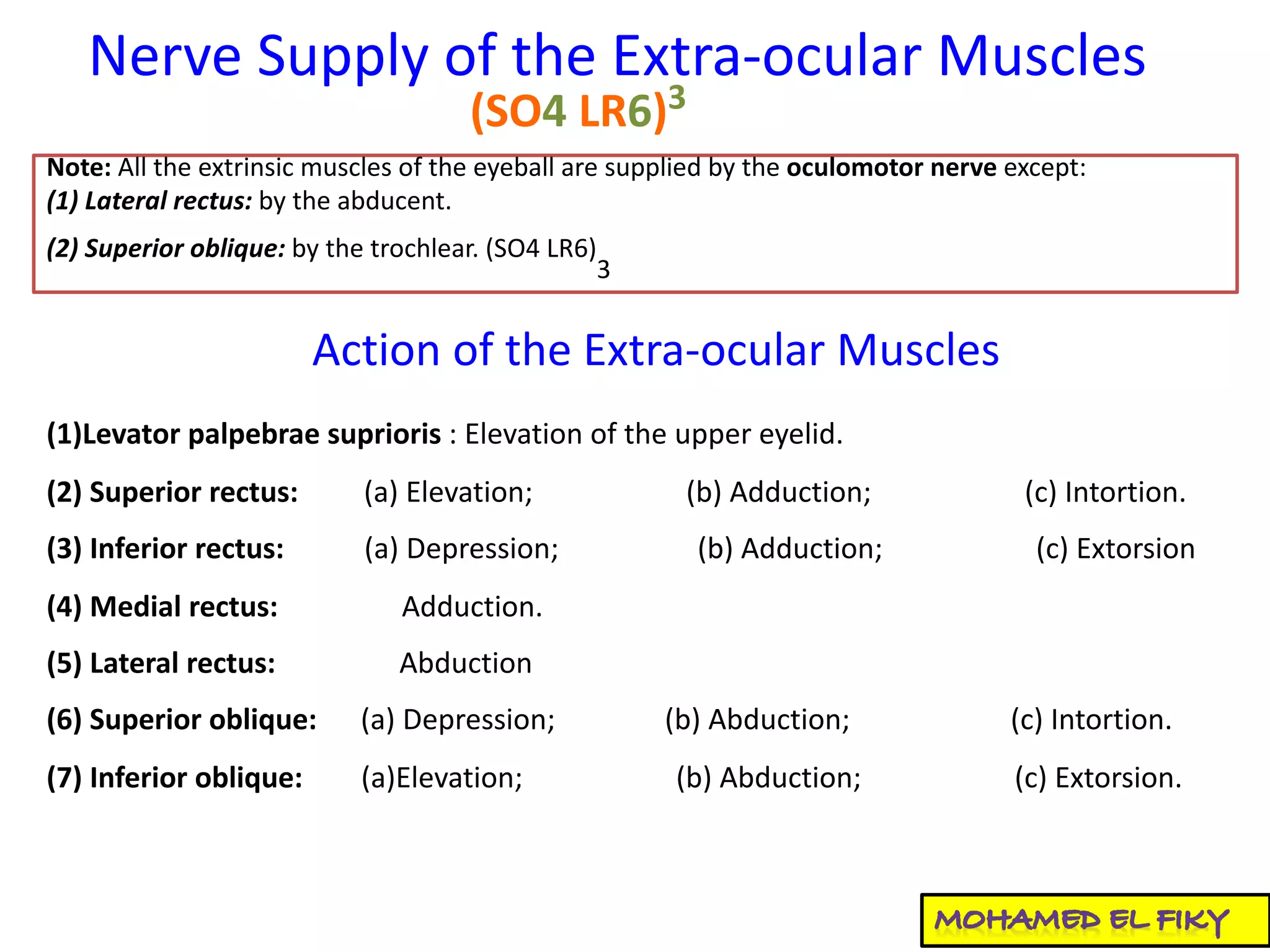 Anatomy of the orbit | PDF