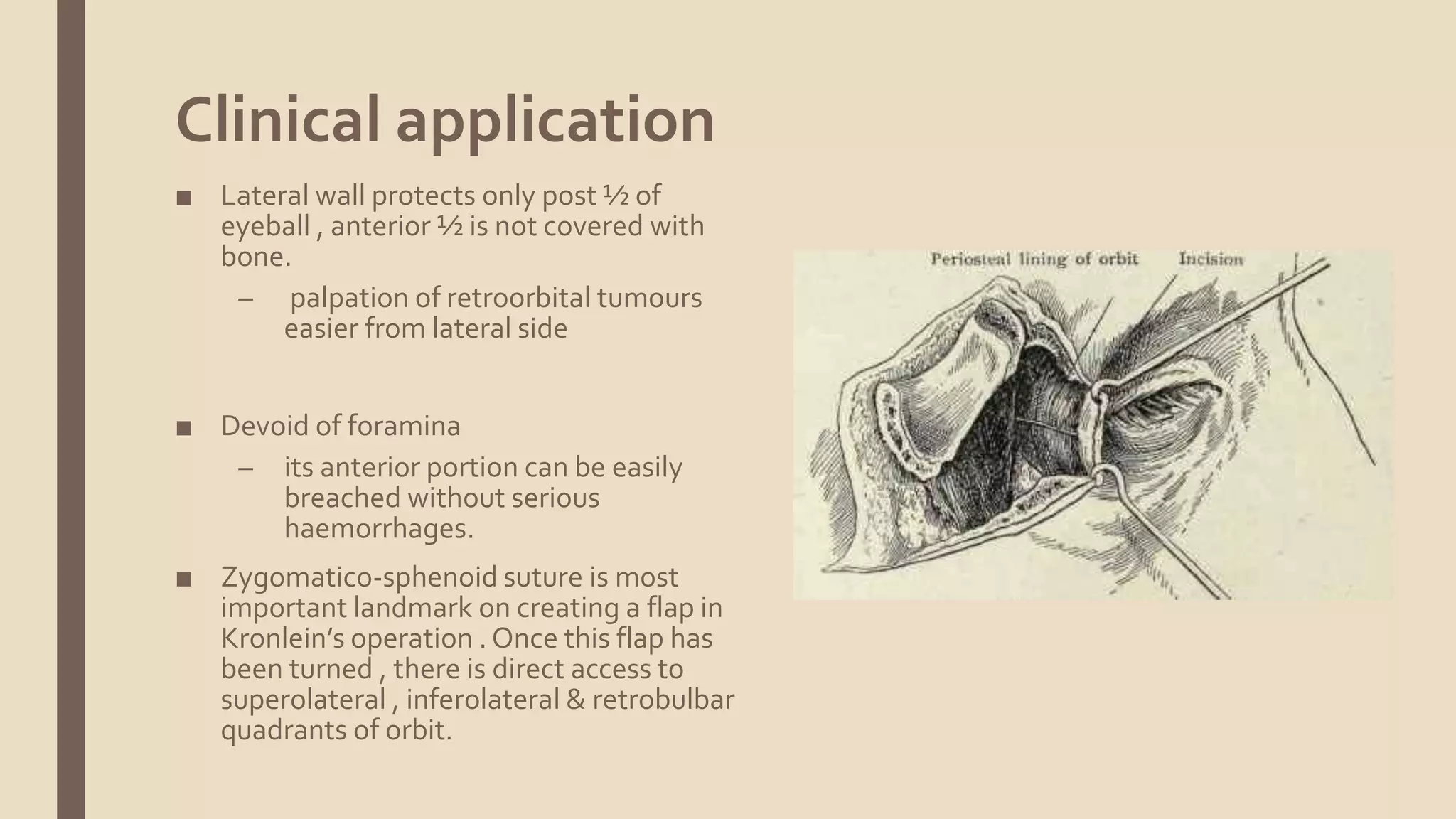 Anatomy of the orbit | PPTX