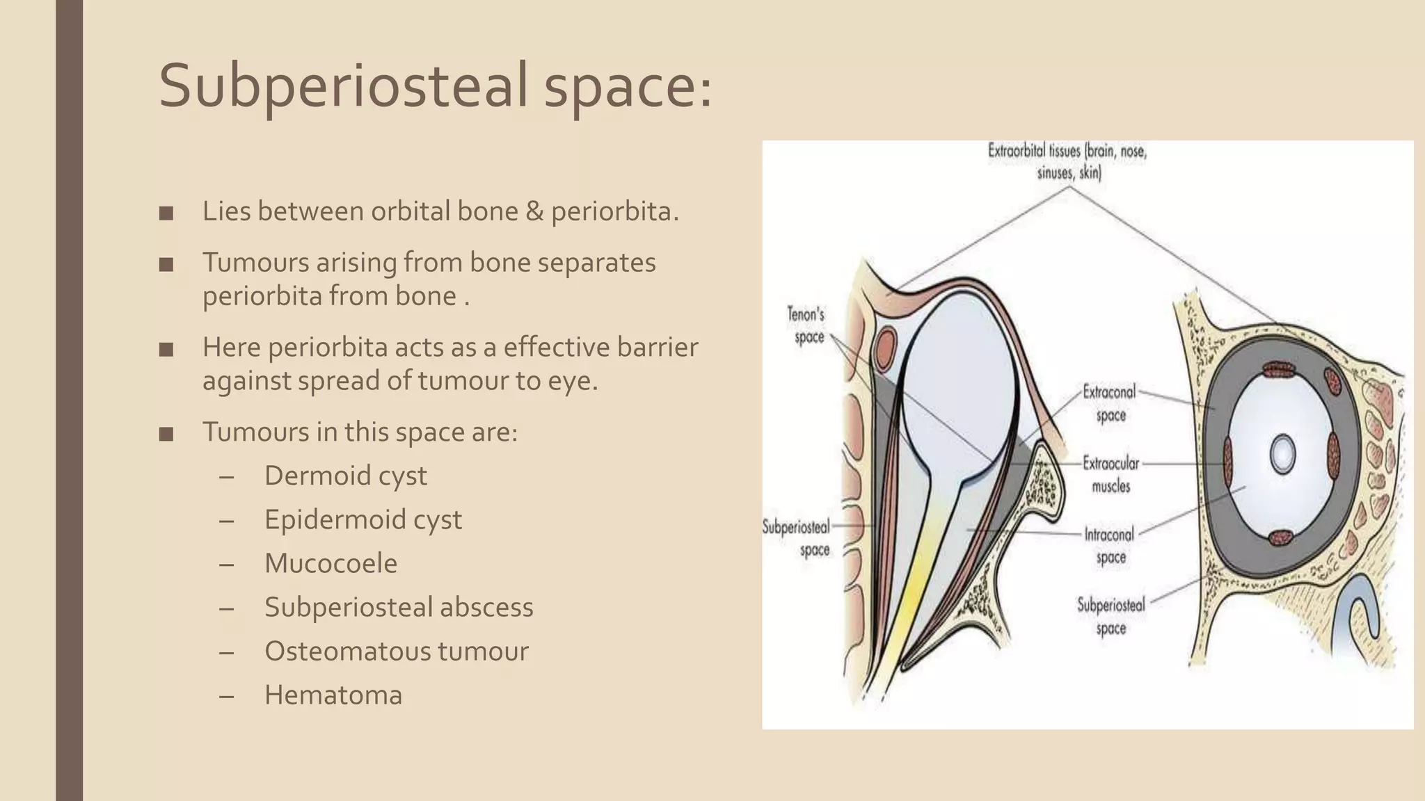 Anatomy of the orbit | PPTX