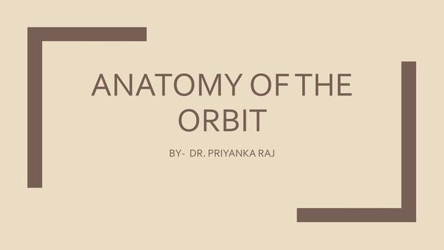 Anatomy of the orbit | PPTX