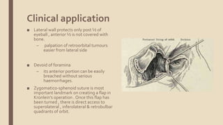 Anatomy of the orbit | PPTX
