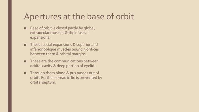 Anatomy of the orbit | PPTX