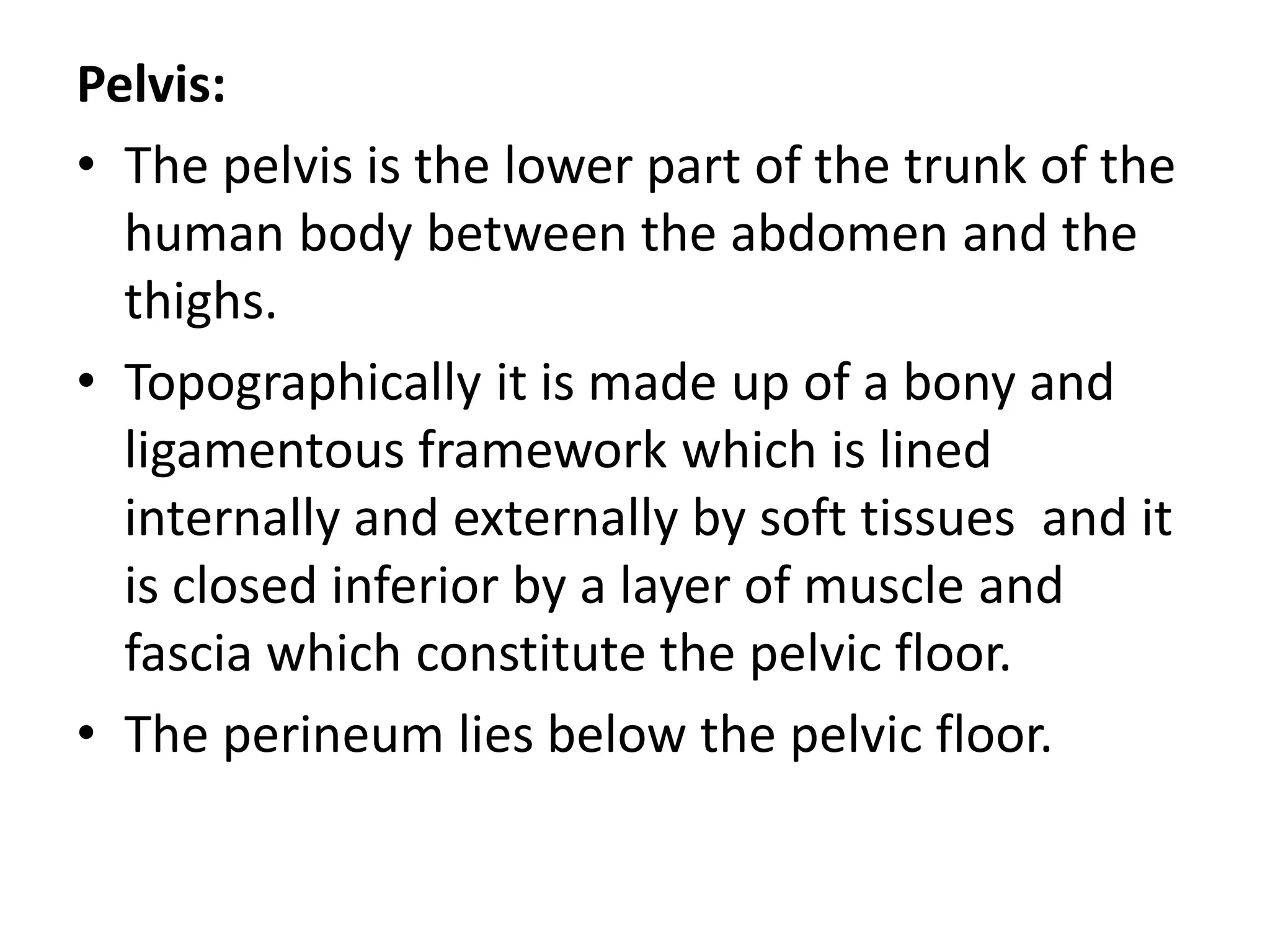 Anatomy of the pelvis It's made up of the bones of the hips, buttocks ...