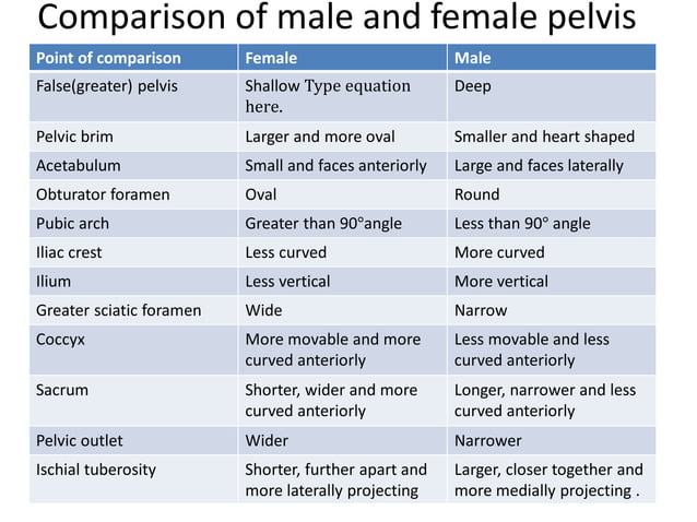Anatomy of the pelvis It's made up of the bones of the hips, buttocks ...