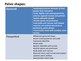 Anatomy of the pelvis It's made up of the bones of the hips, buttocks ...