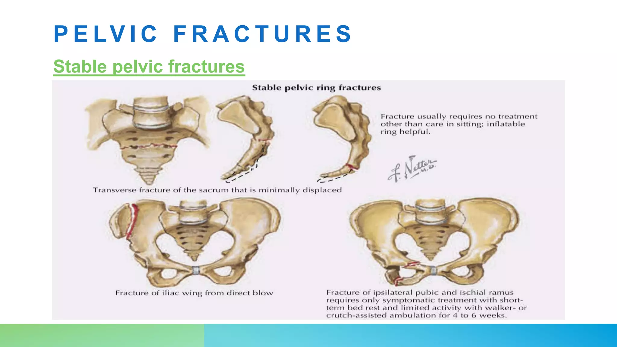 Anatomy of the pelvis (2).pptx