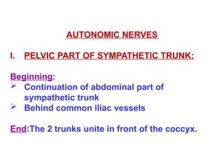 Anatomy of the Pelvis second semister 1.pptx