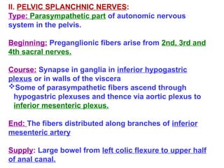 Anatomy of the Pelvis second semister 1.pptx