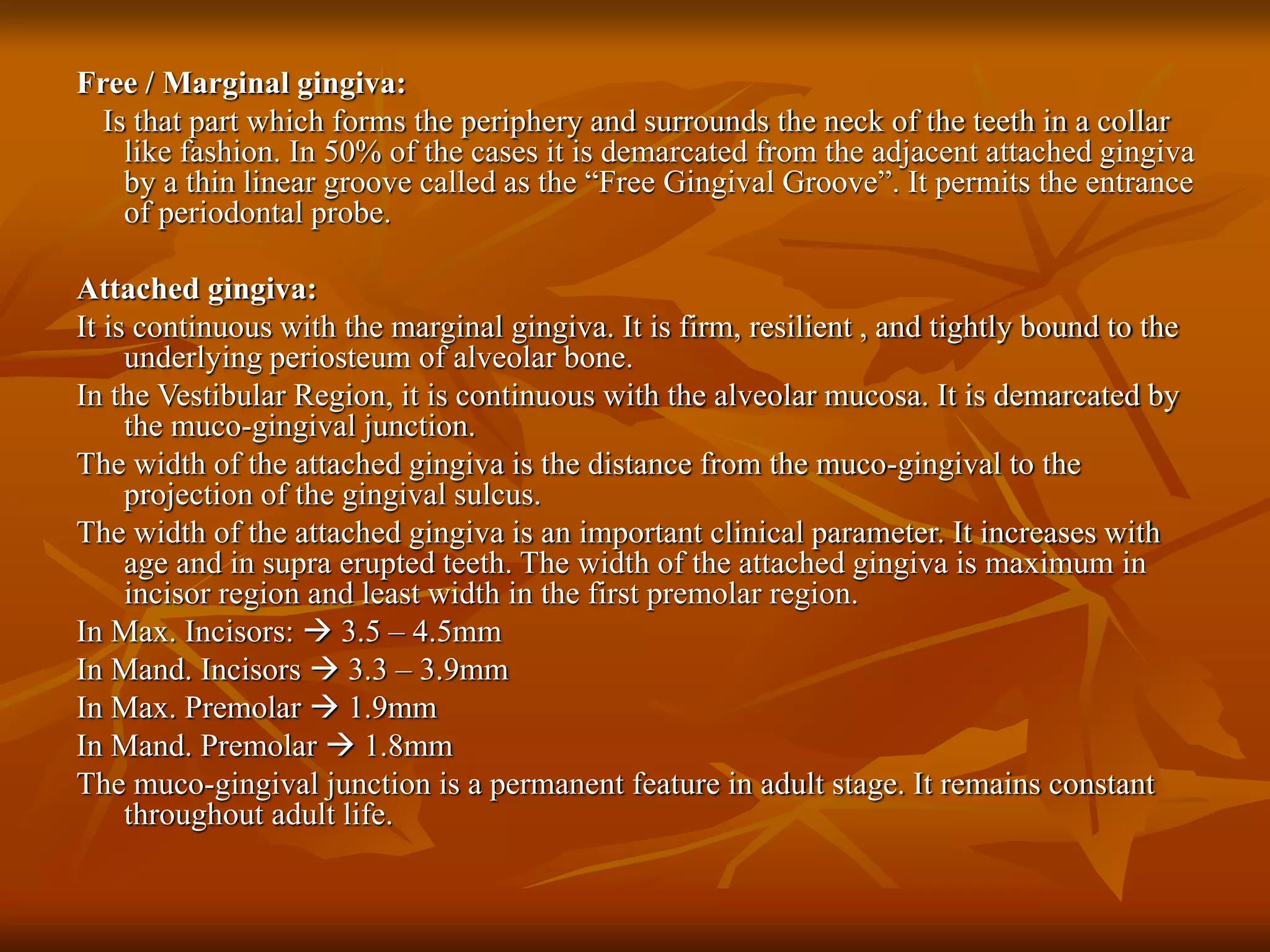 Anatomy of the periodontium.ppt