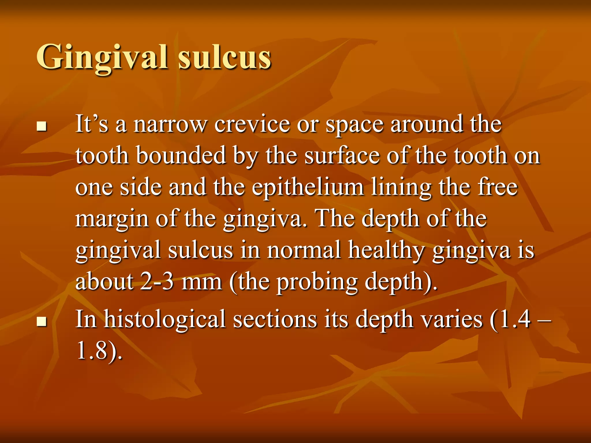 Anatomy of the periodontium.ppt