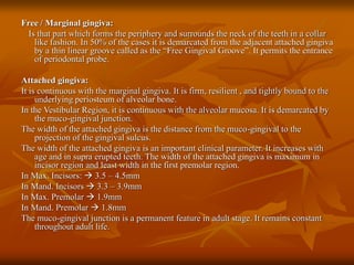 Anatomy of the periodontium.ppt