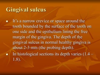 Anatomy of the periodontium.ppt