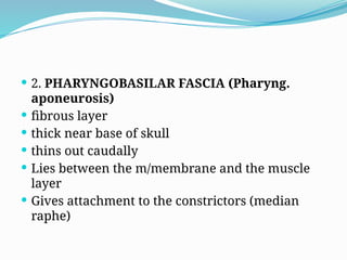 Anatomy of the Pharynx universitate.pptx