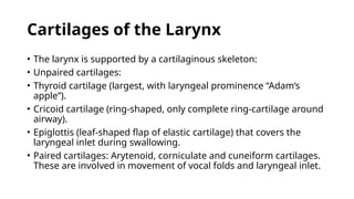 Anatomy of the Pharynx and Larynxxx.pptx