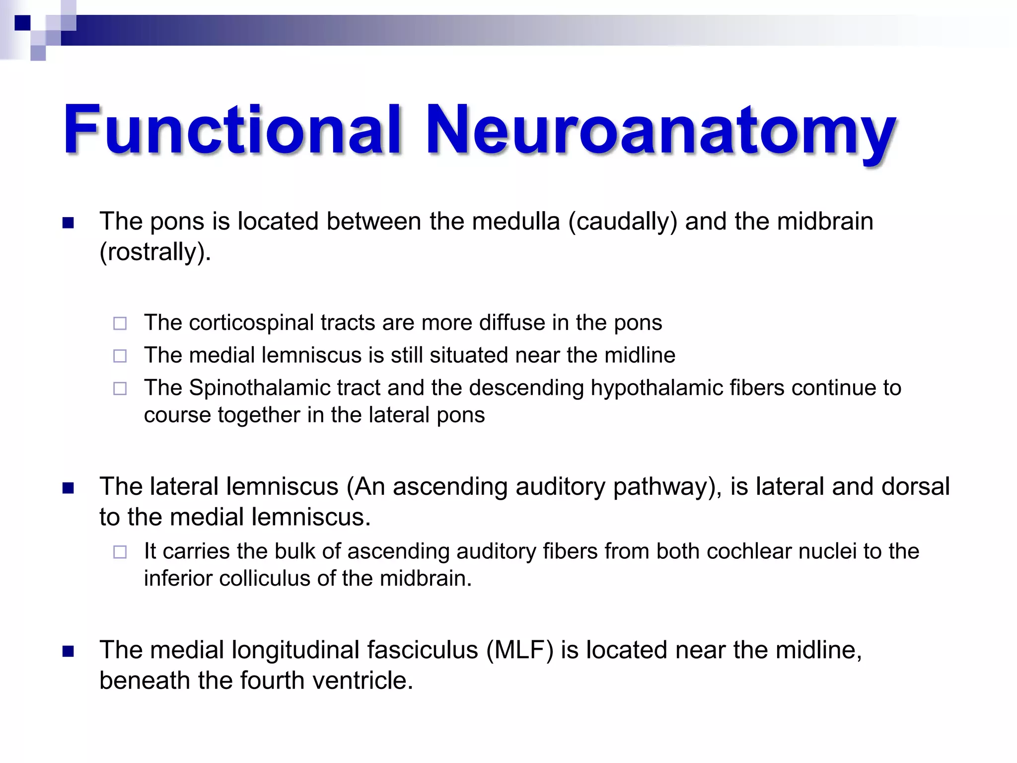 Anatomy of the pons | PPTX
