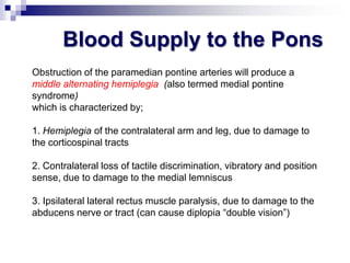 Anatomy of the pons | PPTX