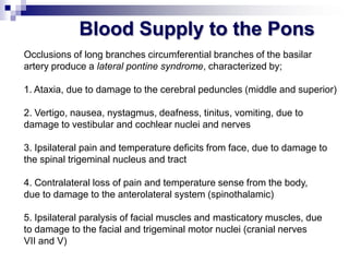Anatomy of the pons | PPTX