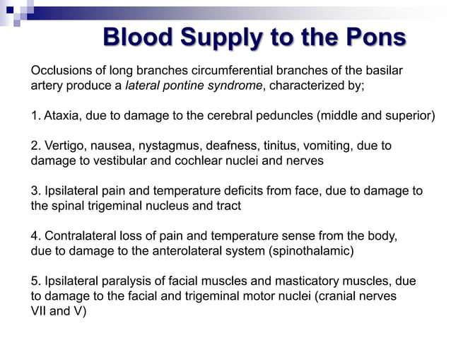 Anatomy of the pons | PPTX