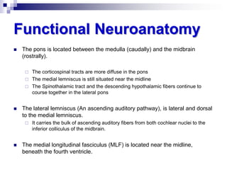 Anatomy of the pons | PPTX