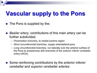 Anatomy of the pons | PPTX