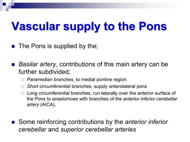 Anatomy of the pons | PPTX