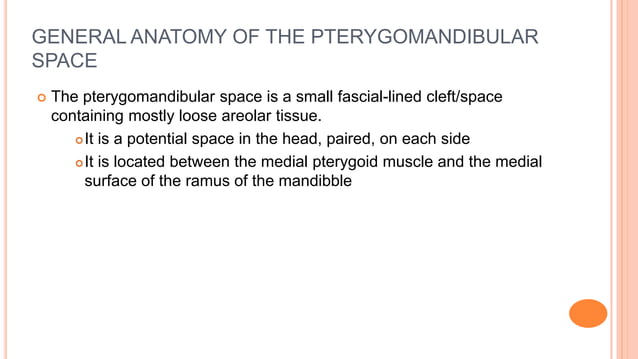 Anatomy of the pterygomandibular space and its clinical significance | PPTX