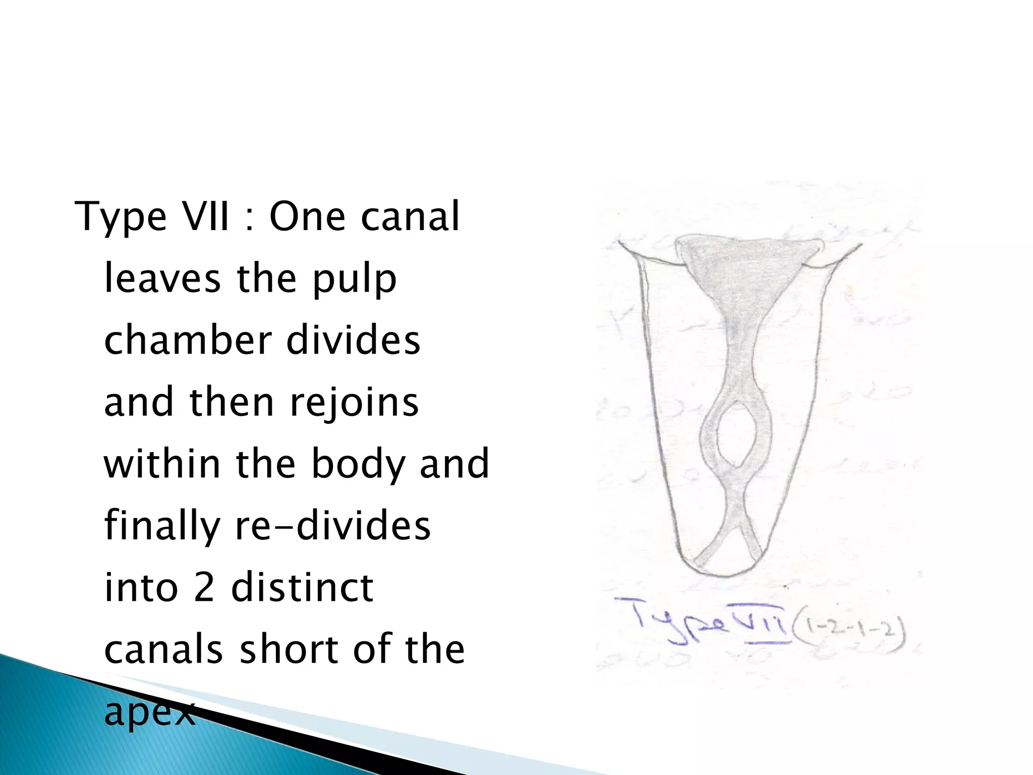 Anatomy of the pulp space | PPT