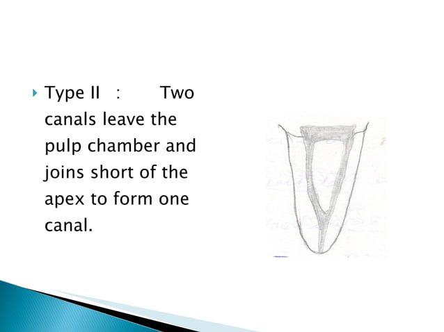 Anatomy of the pulp space | PPT