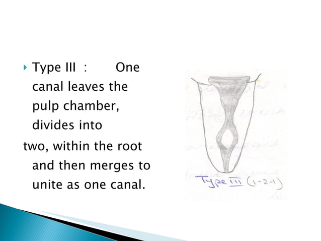 Anatomy of the pulp space | PPT