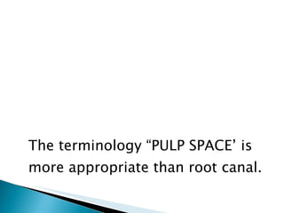 Anatomy of the pulp space | PPT