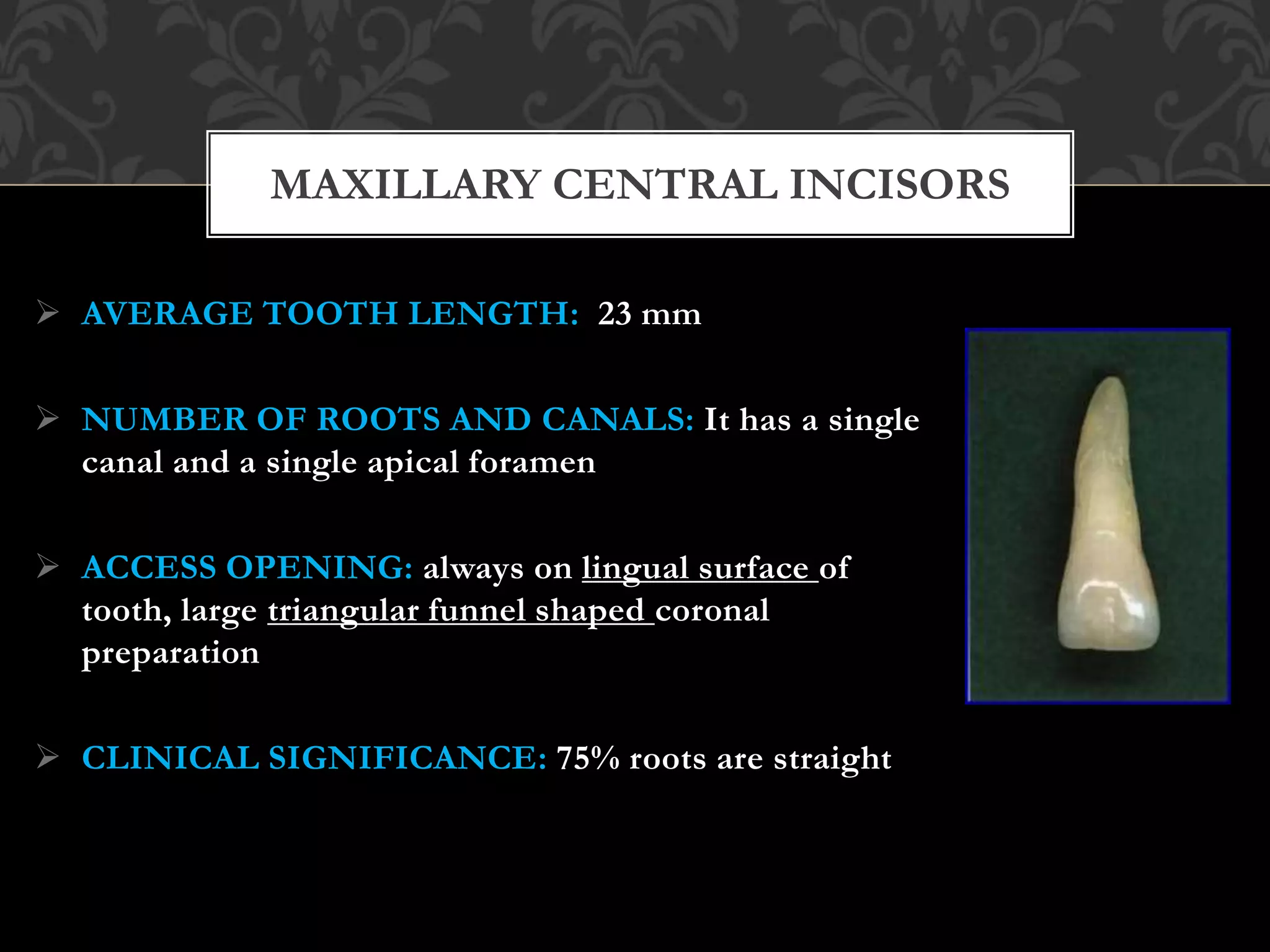 Anatomy of the pulp space and access cavity | PPTX