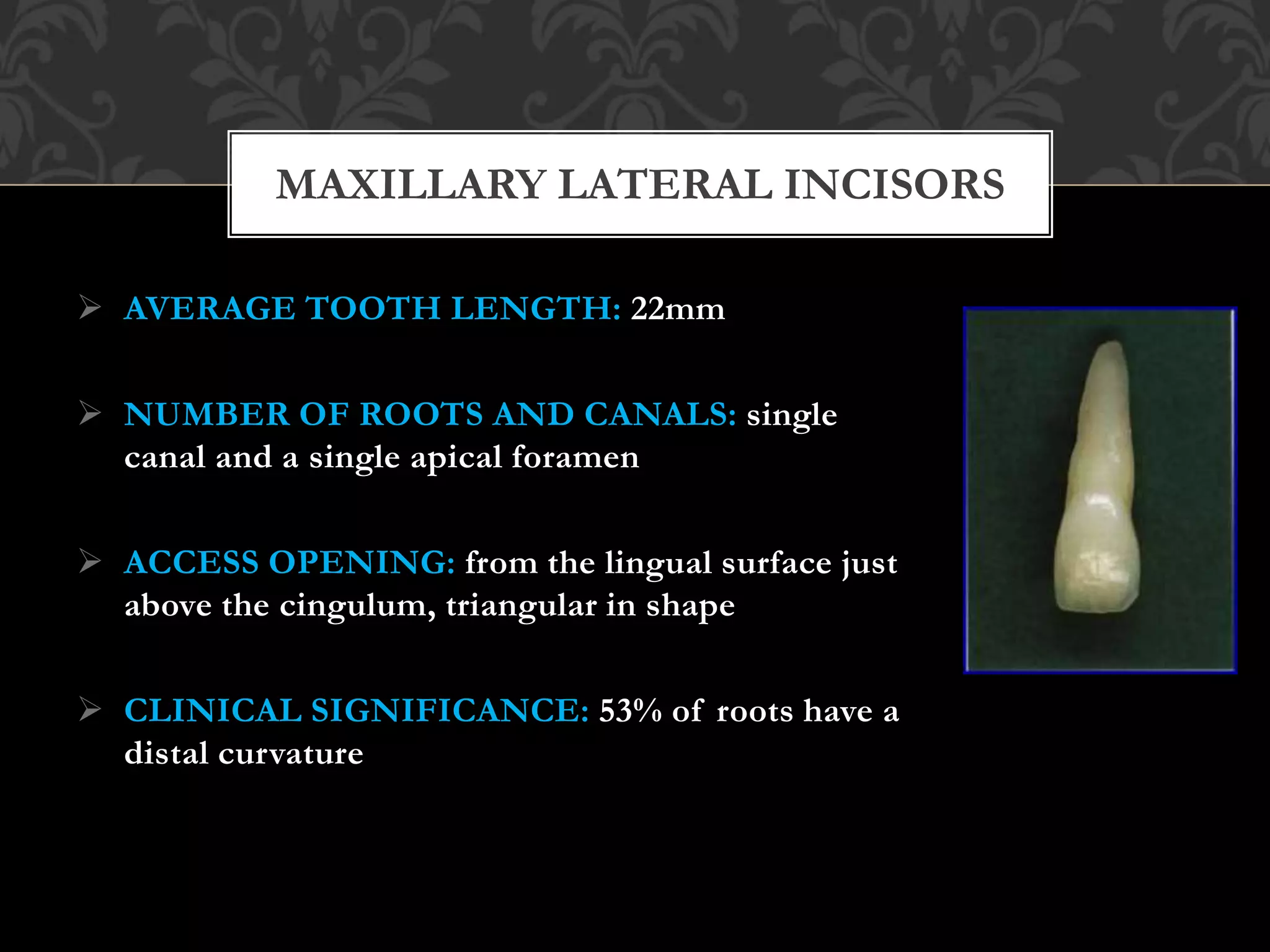 Anatomy of the pulp space and access cavity | PPTX