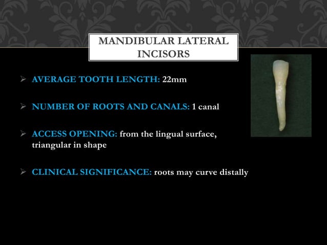 Anatomy of the pulp space and access cavity | PPTX | Dental Health ...