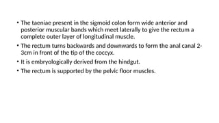 ANATOMY OF THE RECTUM AND ANAL CANAL.pptx