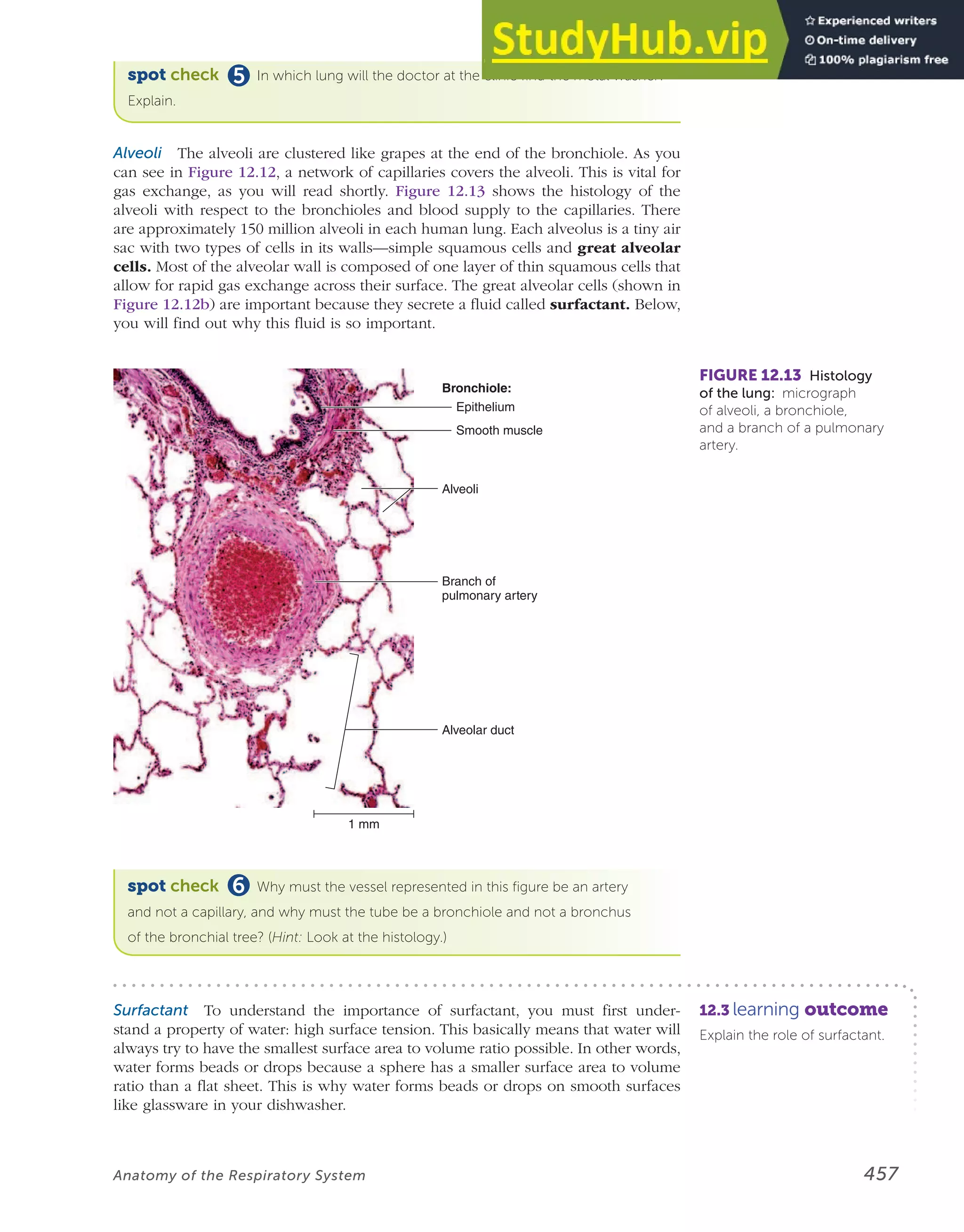 Anatomy Of The Respiratory System | PDF