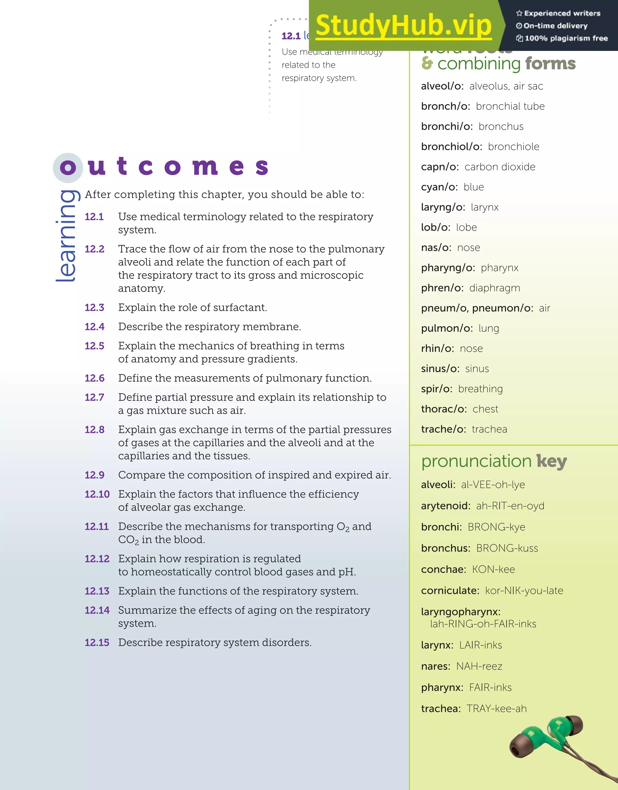 Anatomy Of The Respiratory System | PDF
