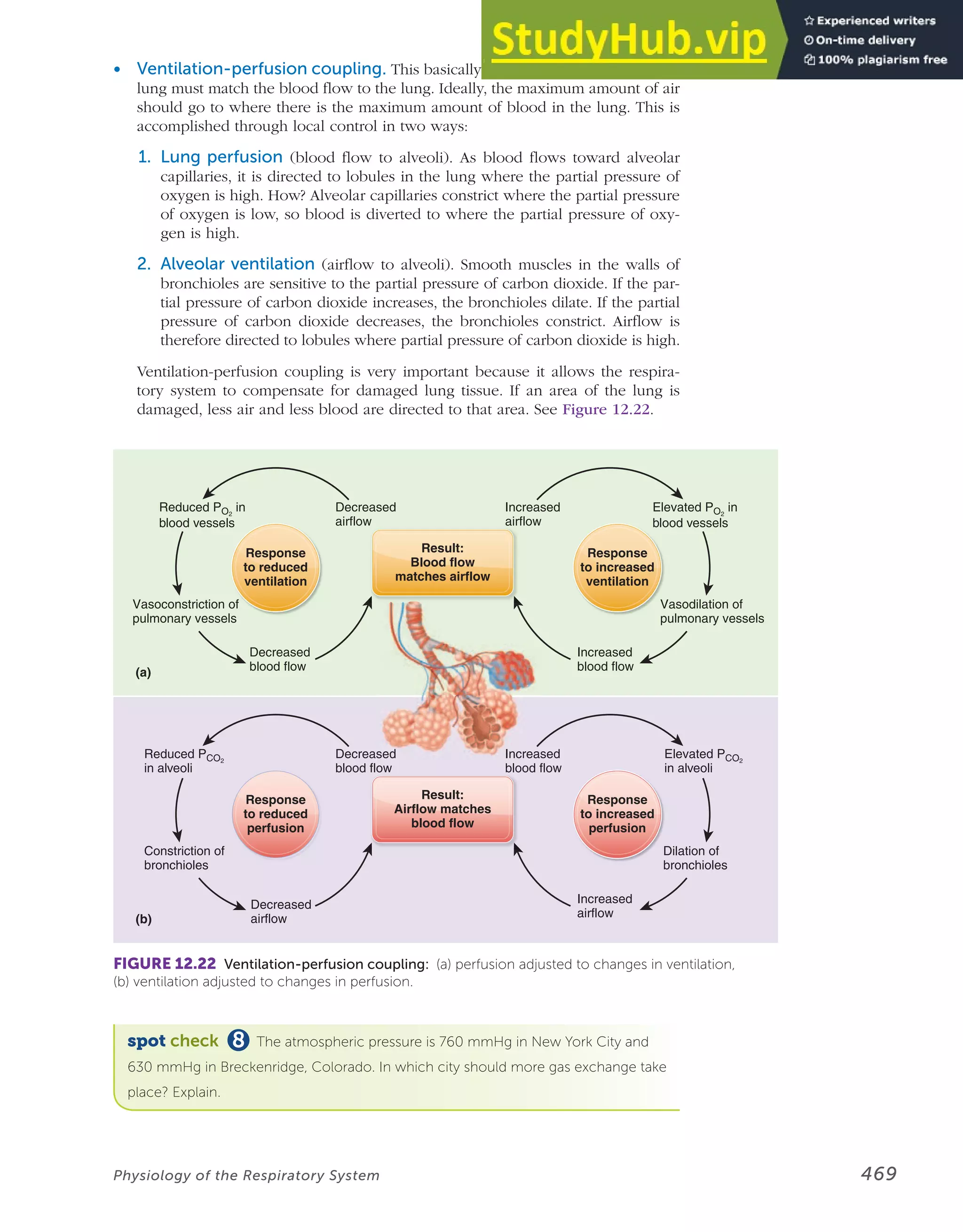 Anatomy Of The Respiratory System | PDF