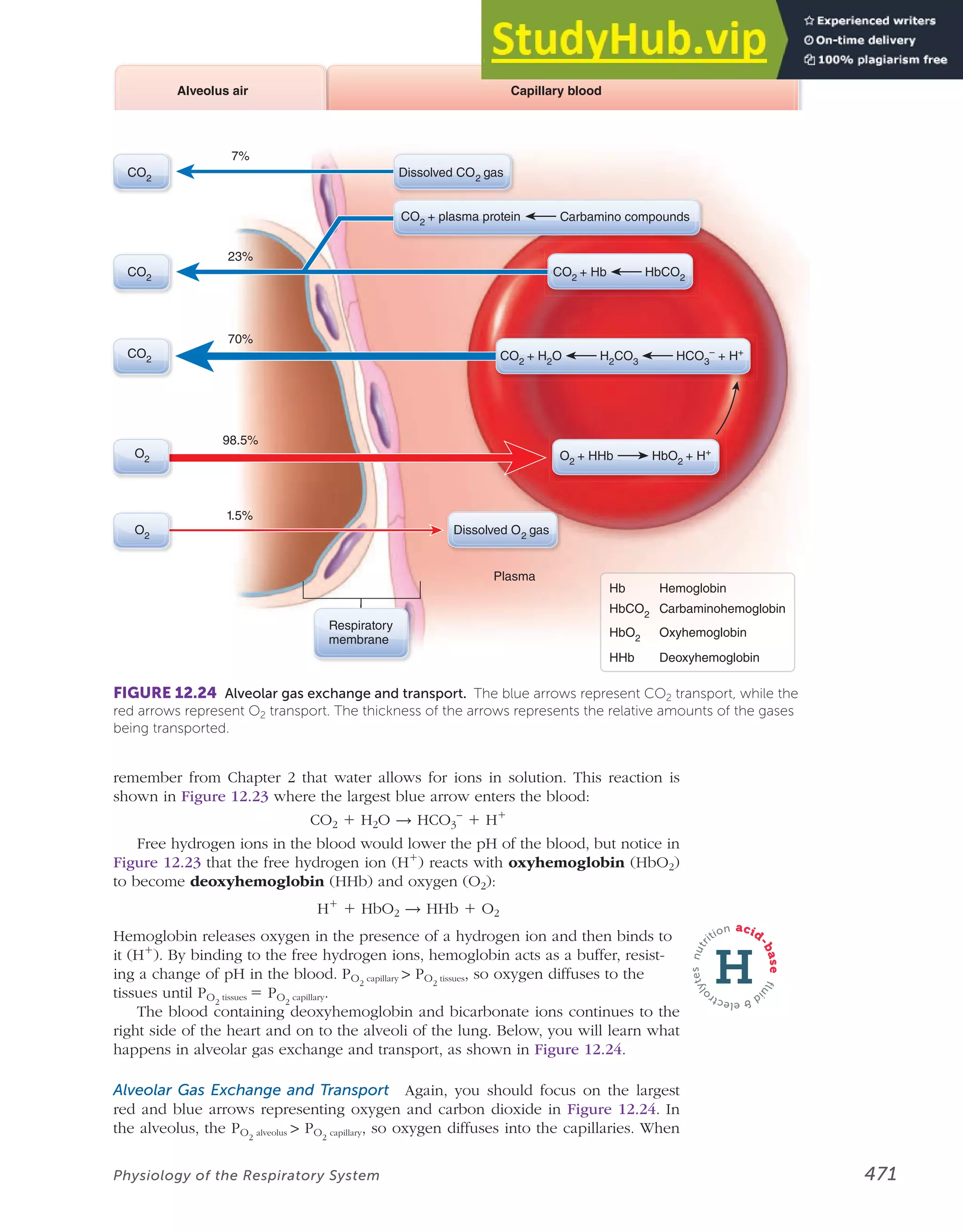 Anatomy Of The Respiratory System | PDF